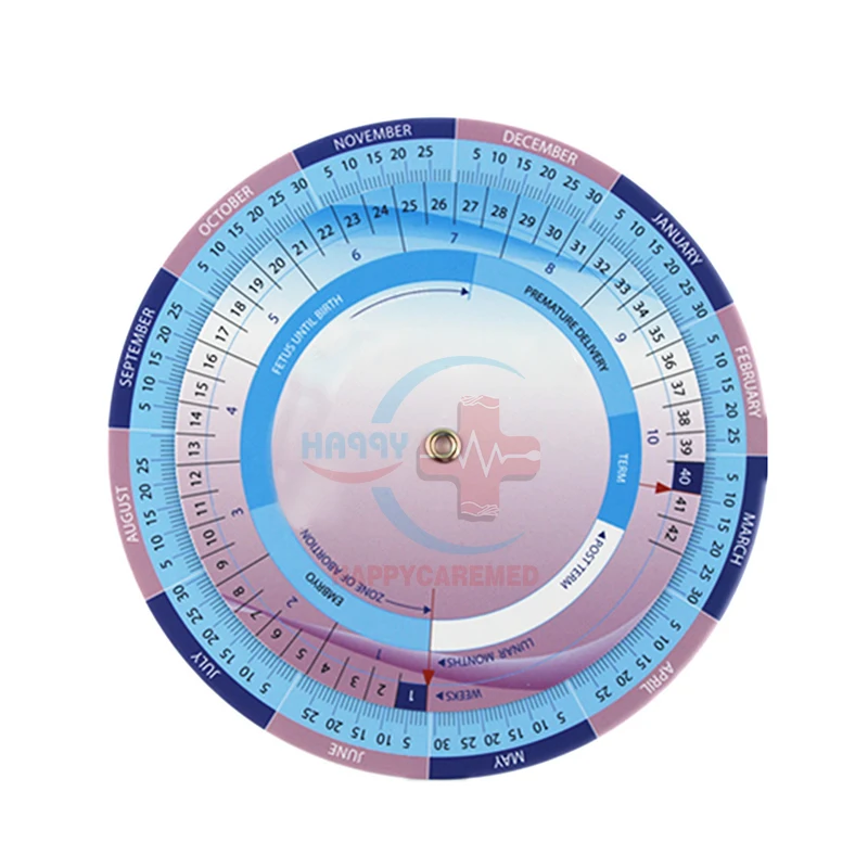 Hc-f014 Medical Pregnancy Due Date Calculator Wheel Round Pregnancy ...