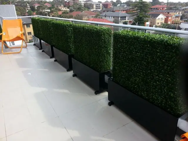 Customized Size Plastic Hedge - Durable Artificial Boxwood