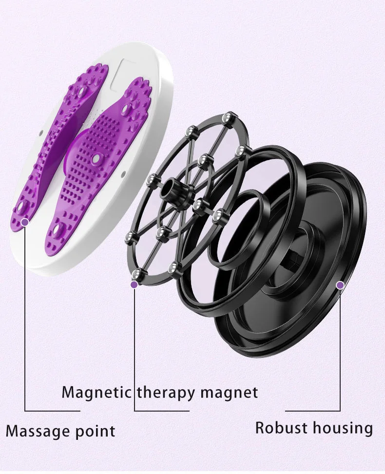 Waist Twisting Plate - Comprehensive Fitness Exercise