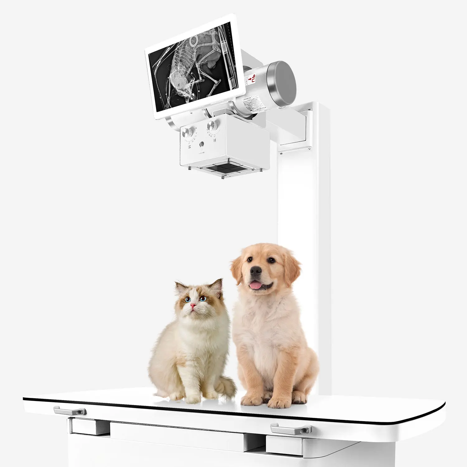 X Ray Equipment Digital Radiography Machine Veterinary Xray for Vet ...