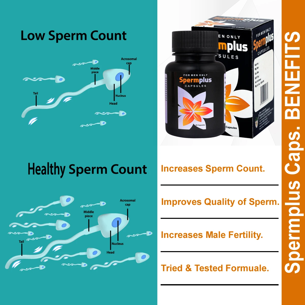 Best Quality Ayurveda Herbal Sperm Capsule For Men Herbal Sperm Capsule ...