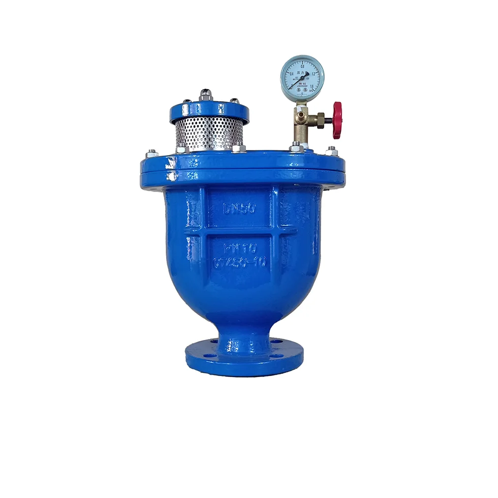 DN200 PN16 Flange End QT450 Compound Exhaust Valve Carx