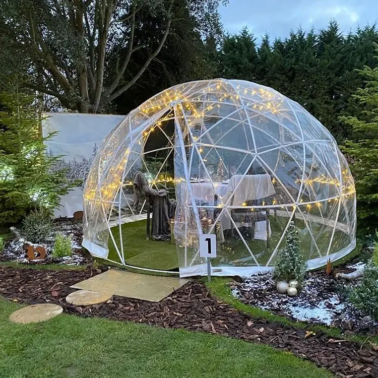 Customized Large Transparent Canopy Garden Igloo Geodesic Dome ...