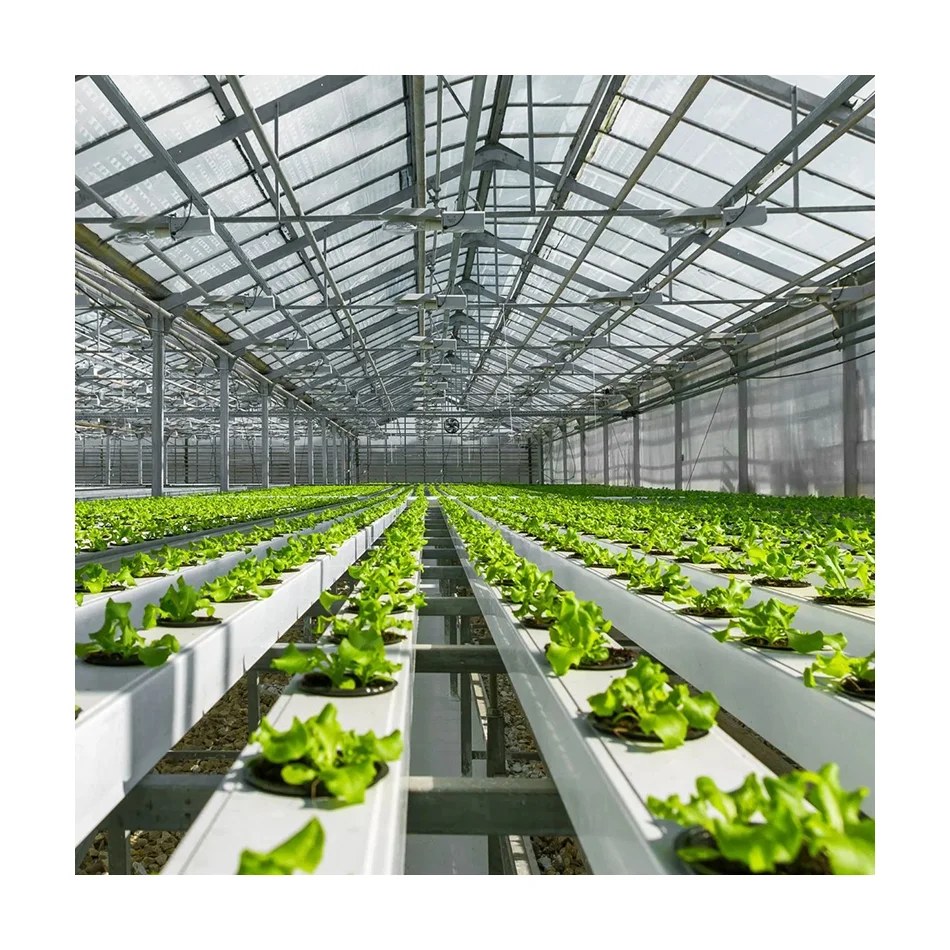 Hydroponic Nft System Vertical Hydroponic Growing System Pvc Pipe For ...