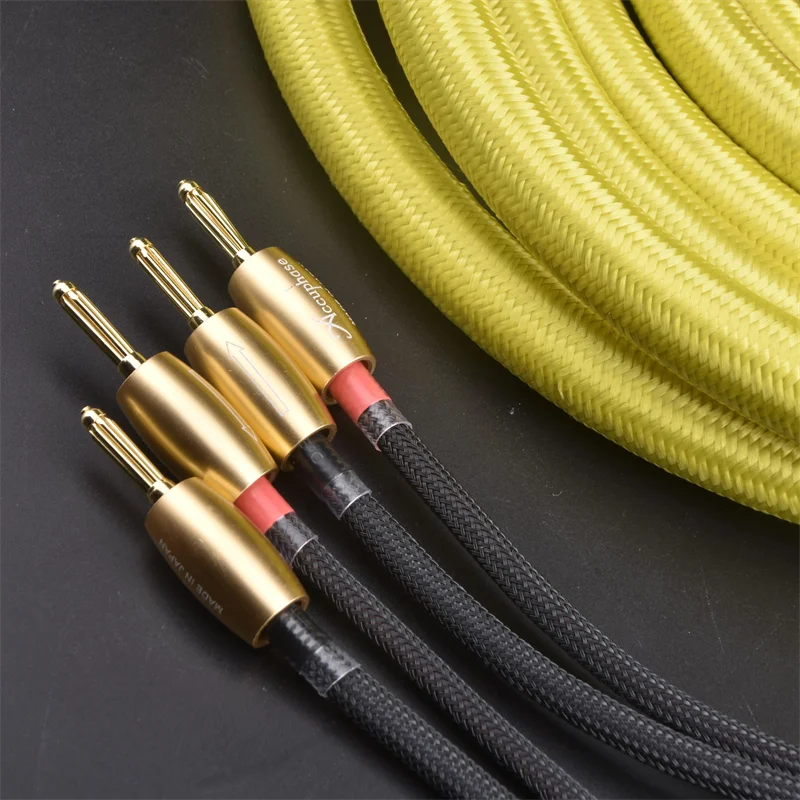 Accuphase Audio Speaker Cable - Hifi with Gold Plated Banana Plug