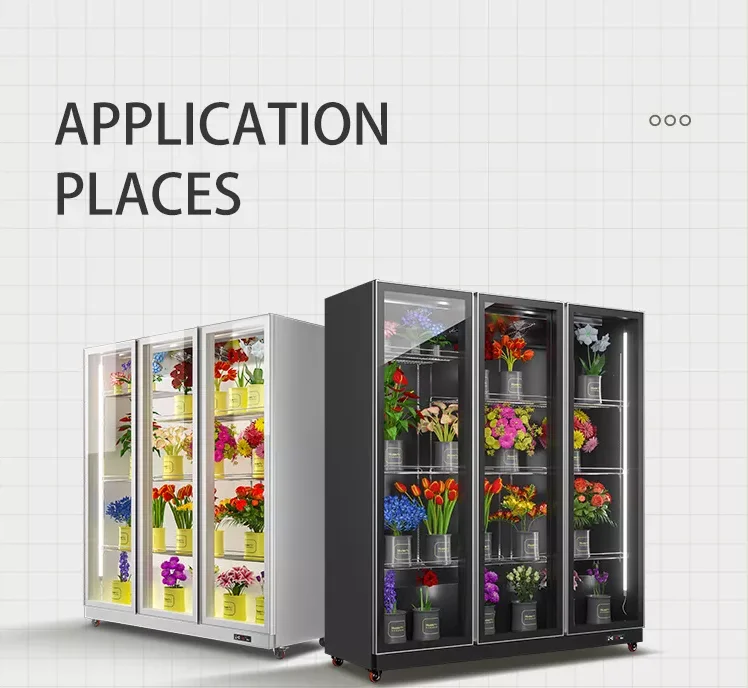 Floral Cooling Solutions - Efficient Display Chillers