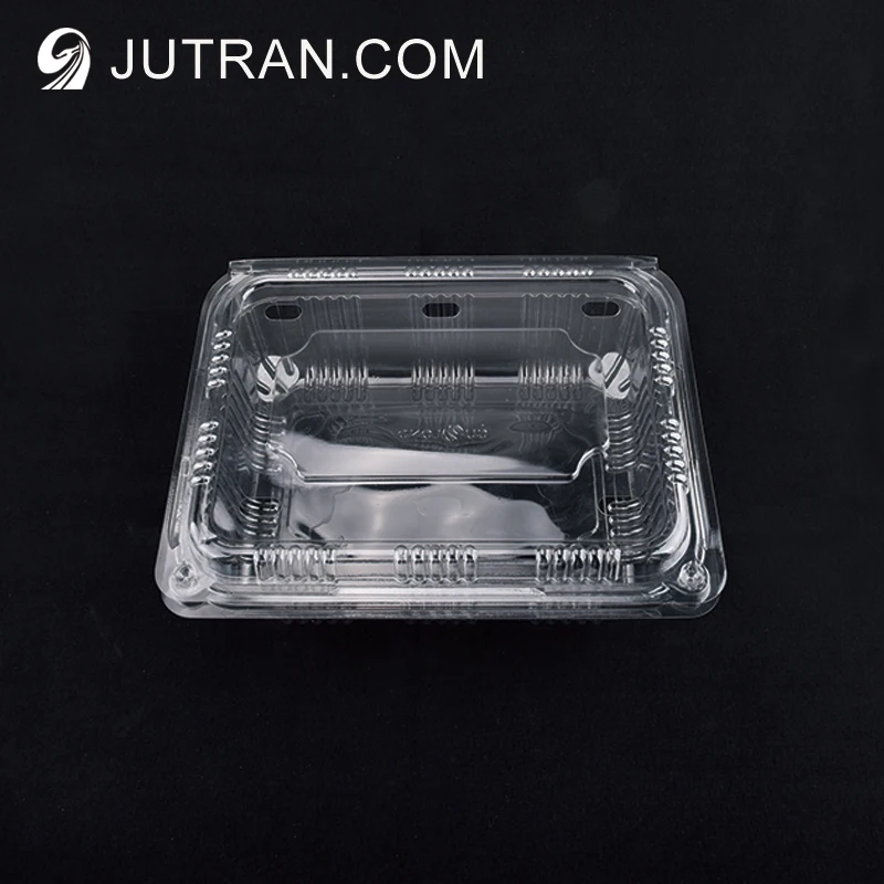 Clear Plastic Berry Clamshell - Ideal for Blueberries & Tomatoes