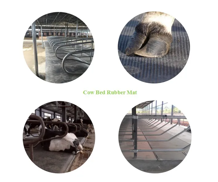 Human Animal Mating Cow Horse Stall Matting - Buy Human Animal Mating ...