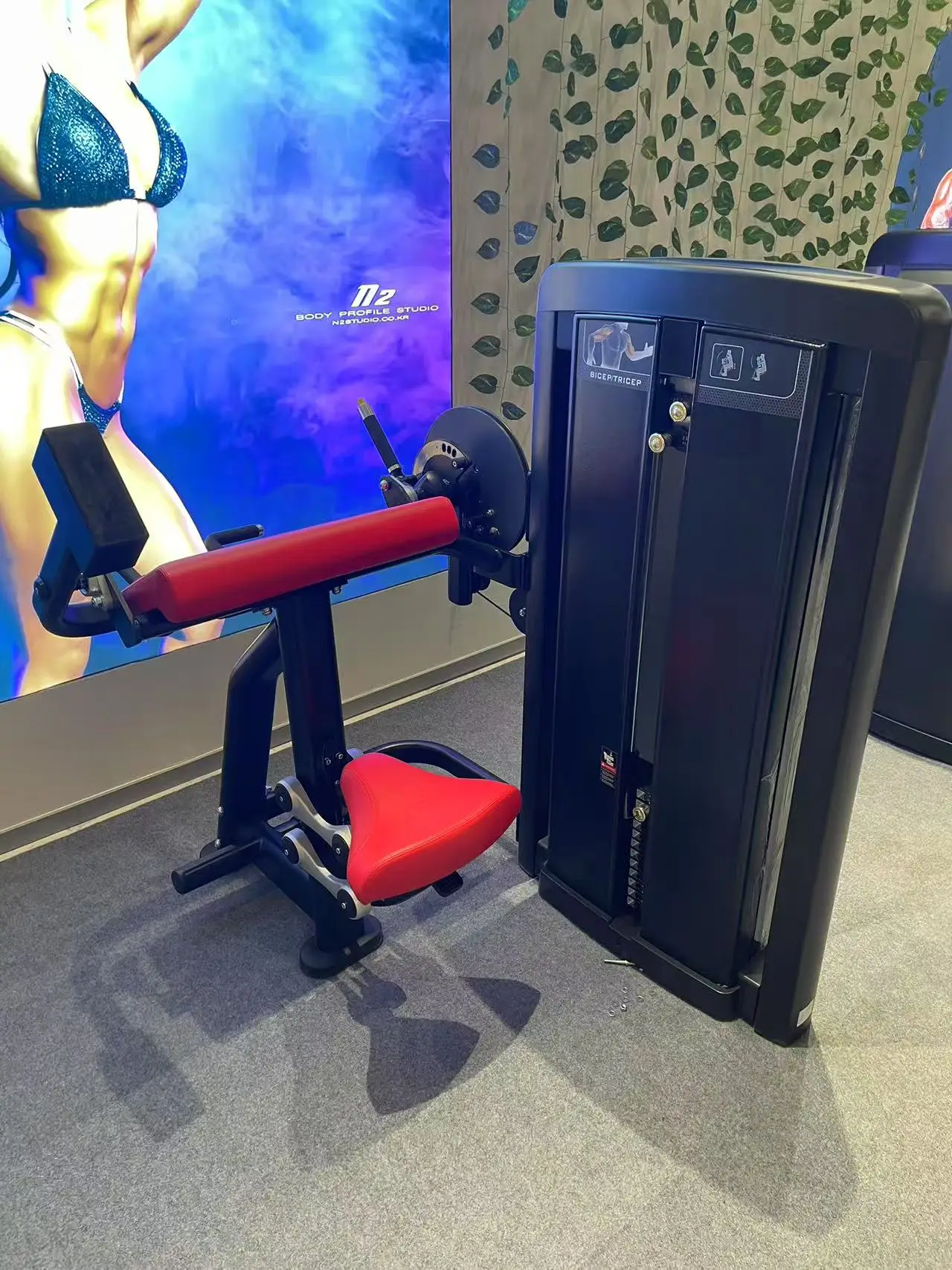 Bicep Blaster 45° Curl Station - Versatile Fitness Equipment for All ...