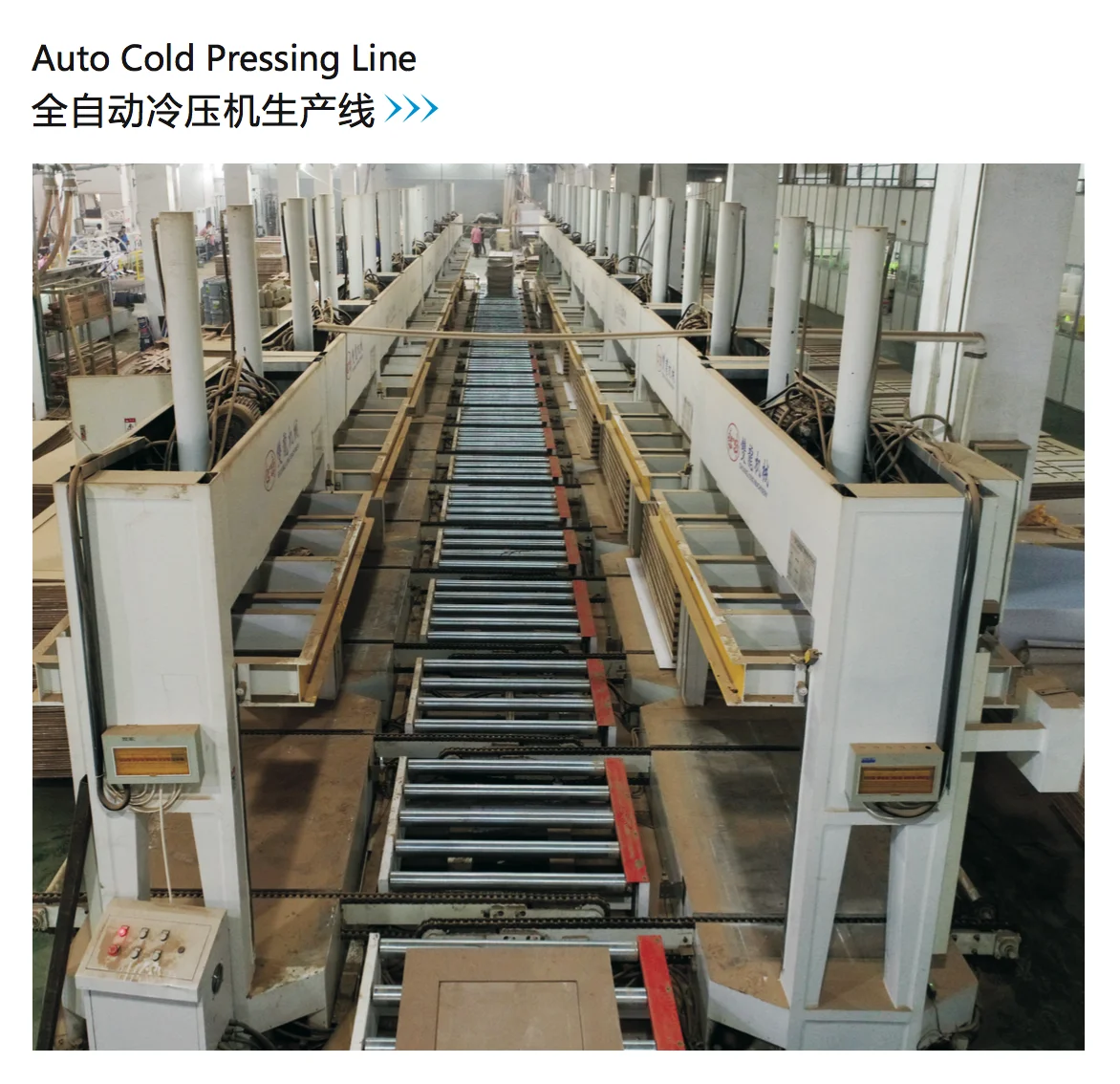 Heavy Duty Automatic Cold Press Machine - Reliable & Efficient