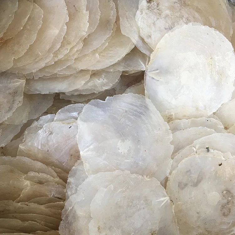 Natural Clean White Capiz Shell For Diy Handmade Shell Crafts - Buy ...