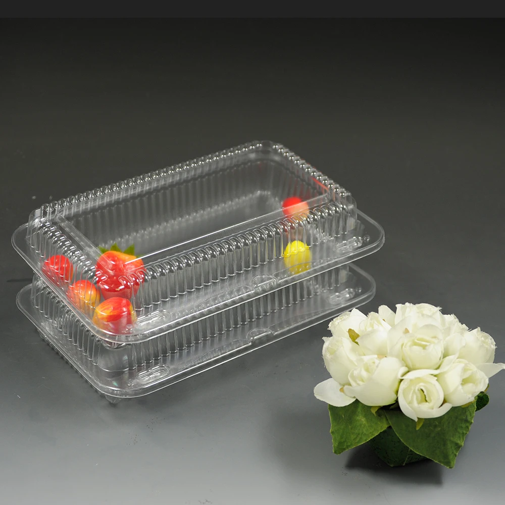 Disposable Clear Rectangular Cake Roll Box Rectangular Plastic Cake ...