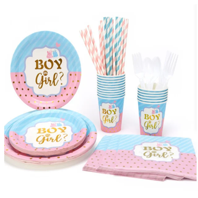 Pink Blue Boy Or Girl Gender Reveal Baby Shower Party Disposable ...