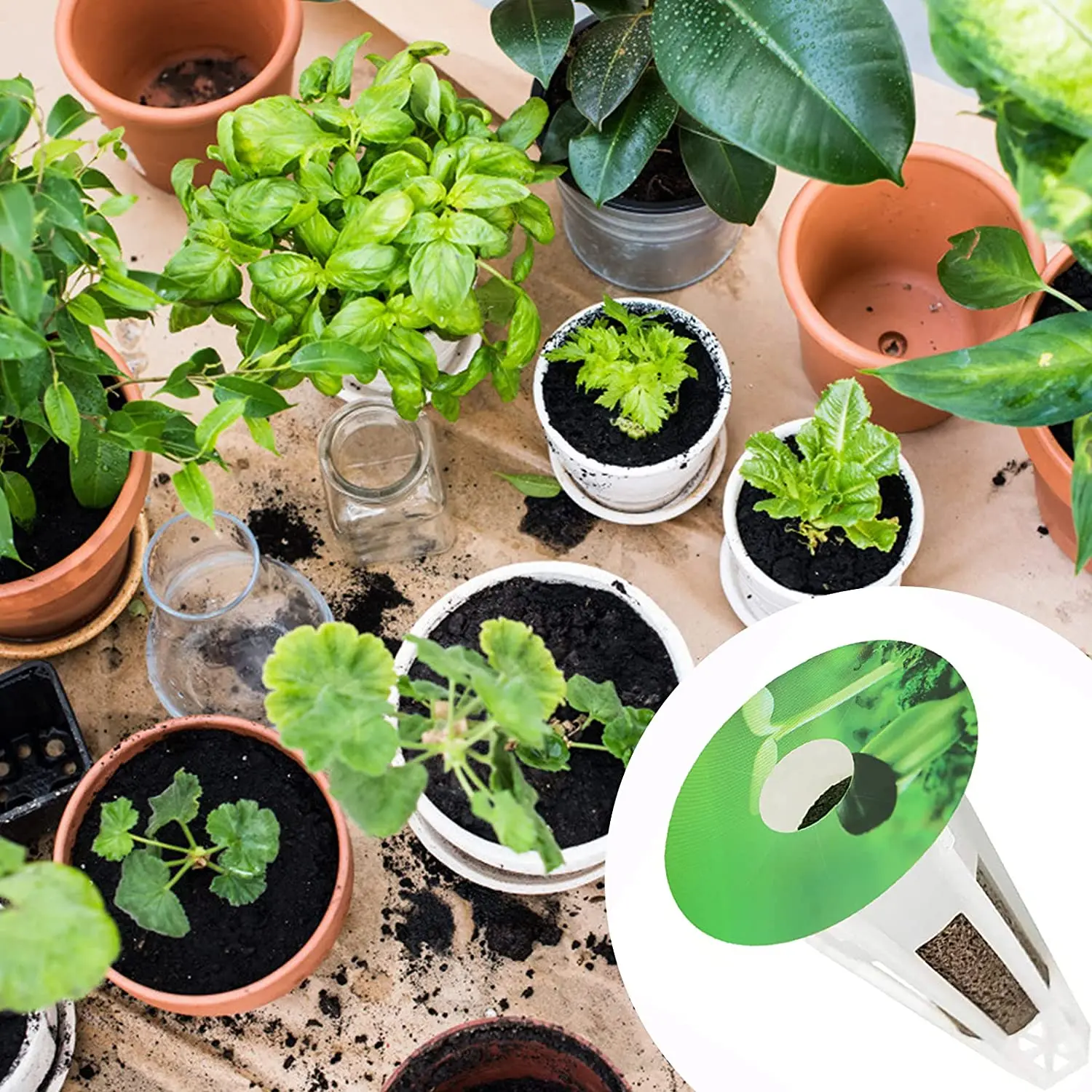 Growing Hydroponic Plant Sticker For Seedlings Garden Pods Labels For ...