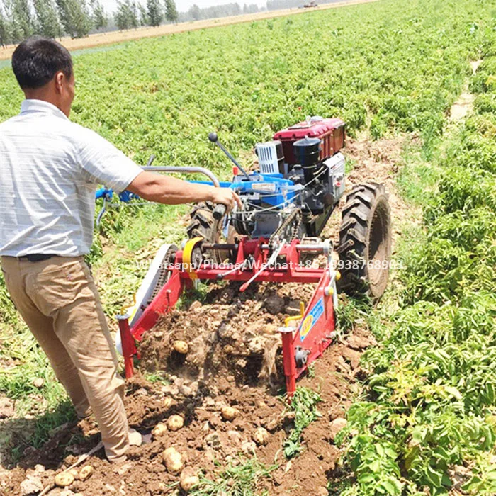 Widely Used Potato Harvesting Machines Sweet Potato Onion Garlic Carrot ...