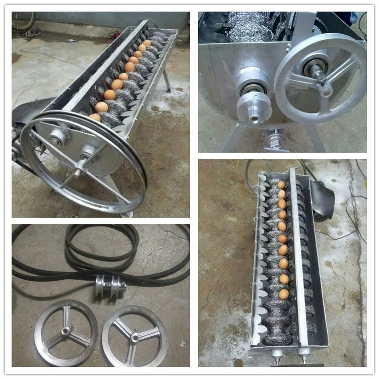 Fresh Egg Washing Machine & Soft Boiled Egg Machine - Automatic Egg ...