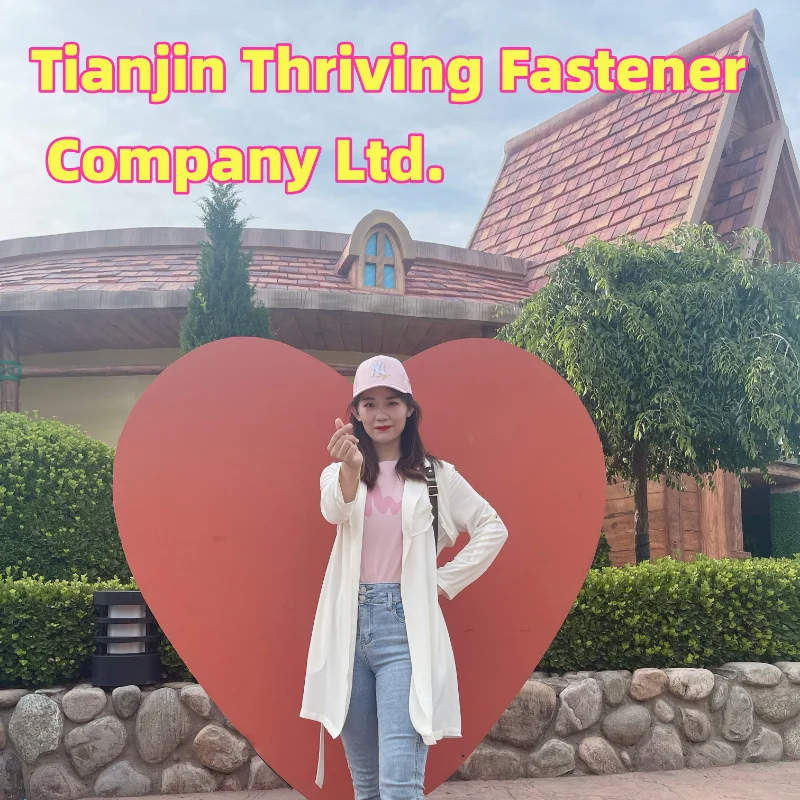 Rubber Coated Hose Clamps - Durable and Versatile Solutions