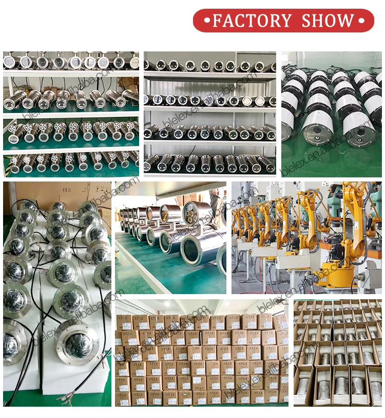 Explosion Proof IR Camera Enclosure - 304 Stainless Steel