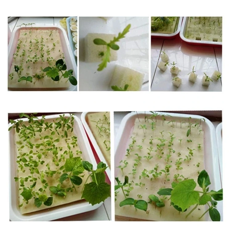 Hydroponic Container Growing Systems Foam Sheet - Durable Support