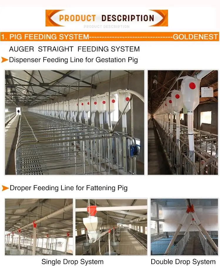 China Pig Feeding And Farming Equipment Line System Manufacturers and ...