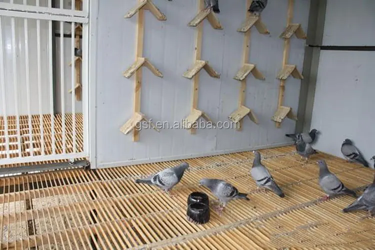 Pigeon Lofts for Sale - GSF Wood Flooring Accessories Pigeon Lofts for Sale - GSF Wood Flooring Accessories