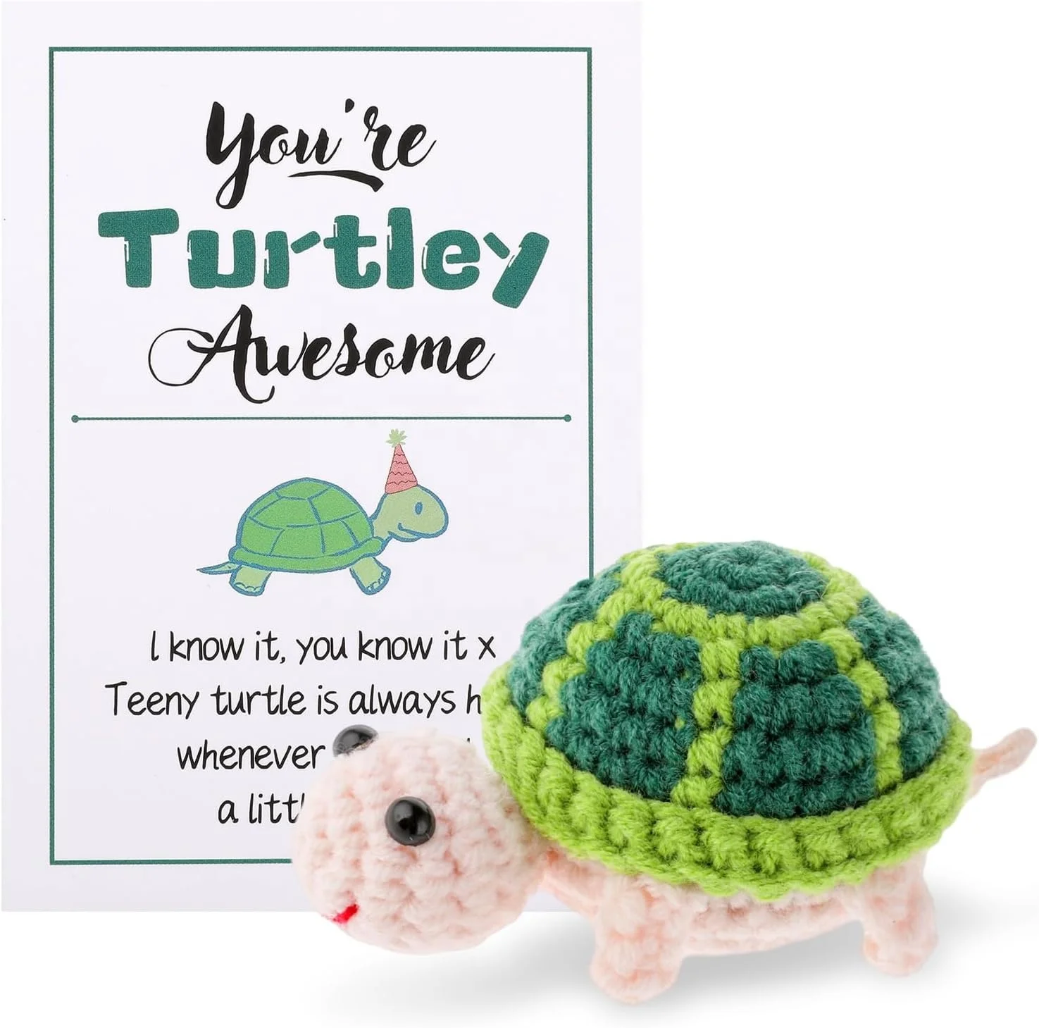 Handmade Positive Turtle Crochet Emotional Motivational Turtle Decor ...