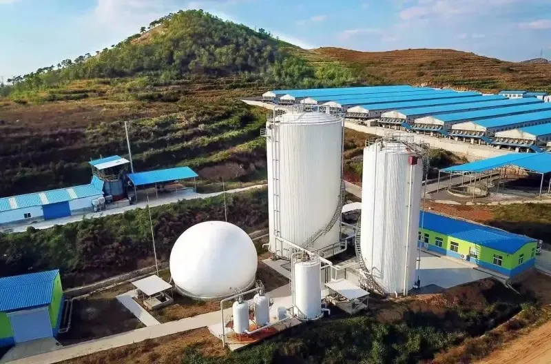 Biogas Project/Biogas Digester/Double Membrane Gas Holder for Food ...