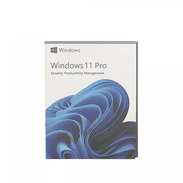 Win11 Professional Wind11 Pro Usb 3.0 Fpp Package English Language 12 Month Guaranteed Dhl Free ...