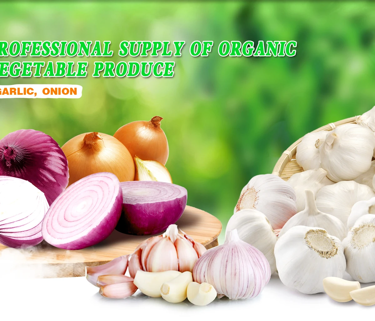 Jinxiang Liming Trading Co., Ltd. - GARLIC, GINGER