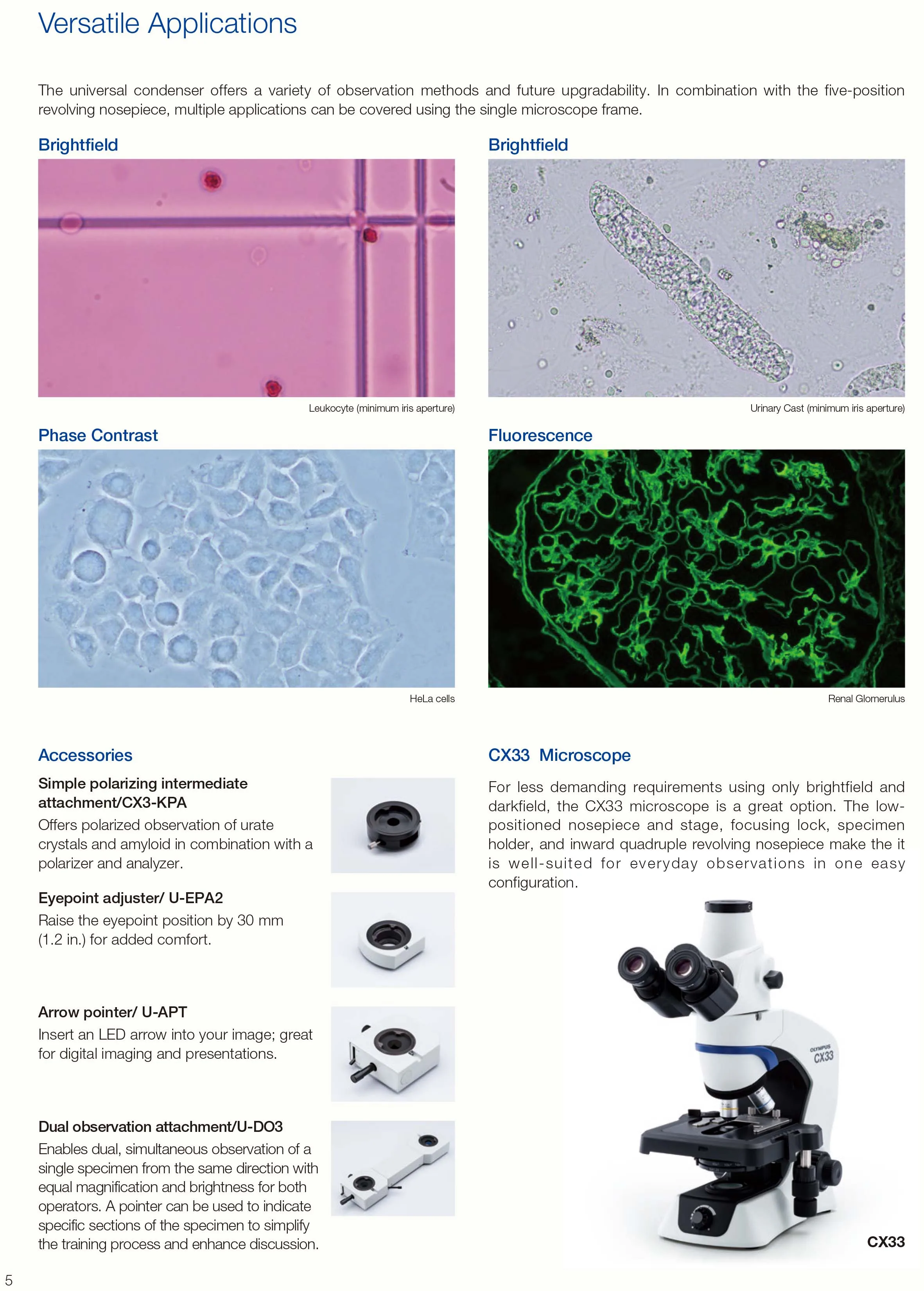 Olympus CX43 Fluorescence Microscope - Professional Biological Microscope