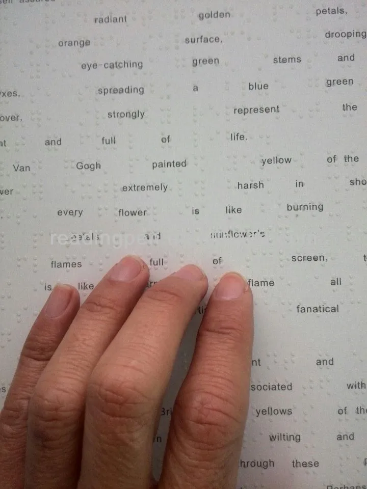 Blind Reading Pen - Braille Learning Machine with Audio