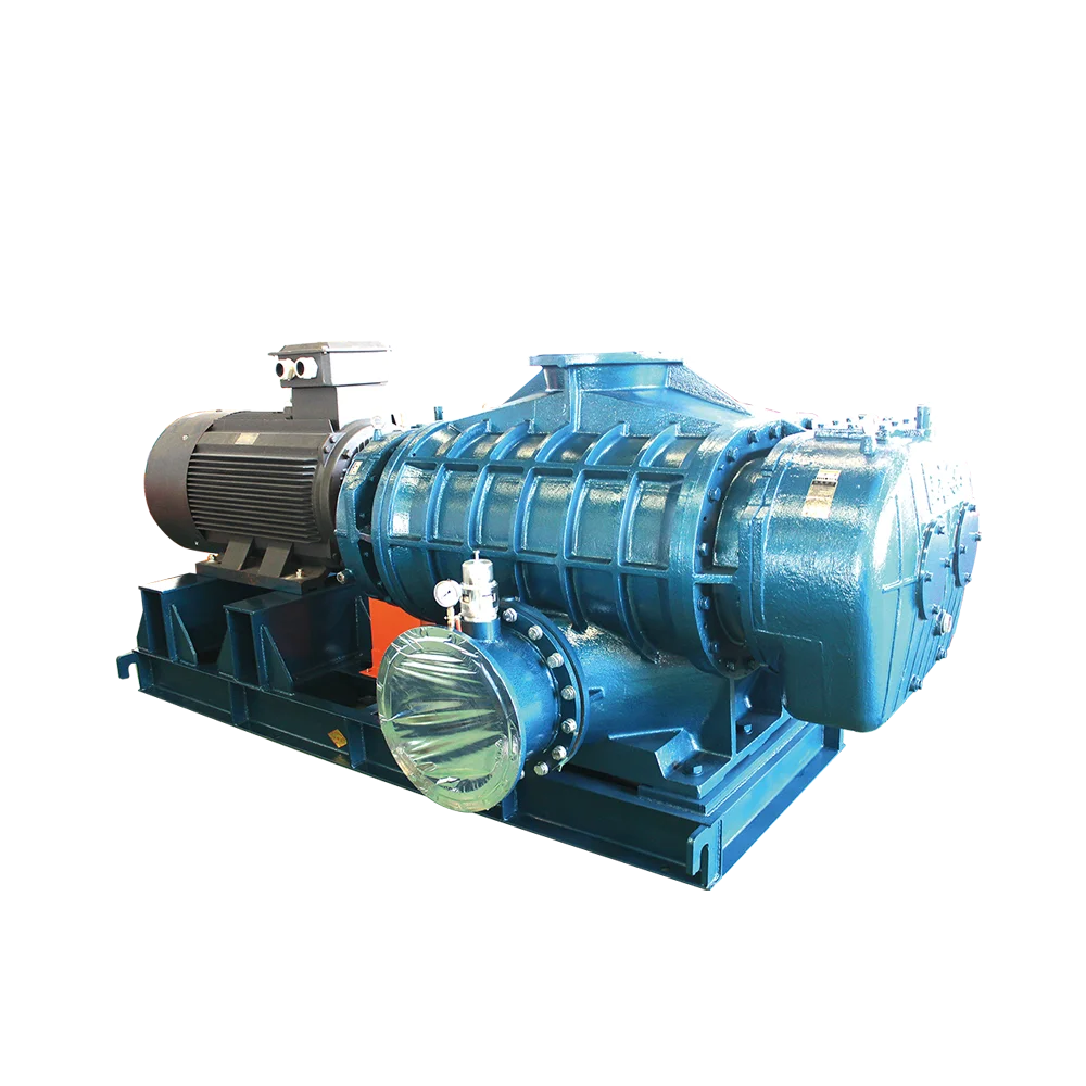 Snrr Snrg Roots Blowers - Buy Low Cost Low Noise High Quality Roots ...