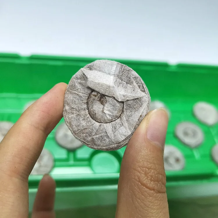 20PC Coco Coir Plugs - Eco-Friendly Plant Growing Solutions