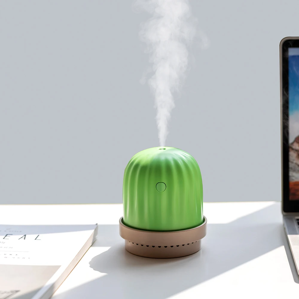 Cactus 260ml Rechargeable Battery Air Cleaner Fresh Air Humidifier Mini ...