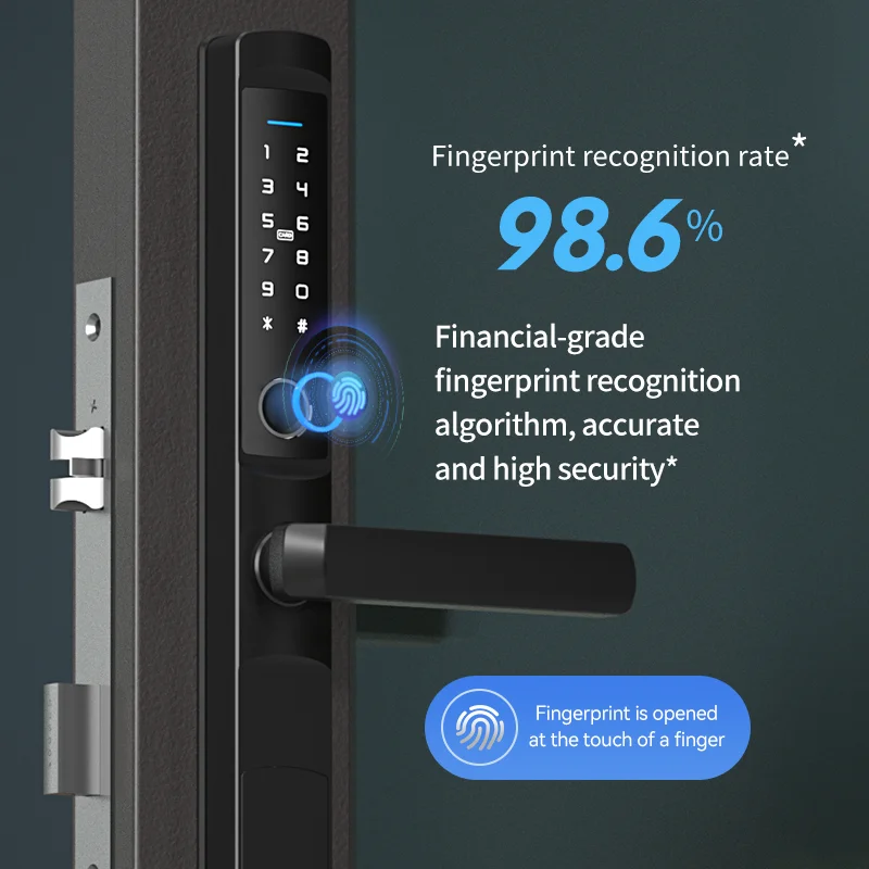 Smart Fingerprint & WiFi Digital Door Rim Lock for Frameless Sliding ...