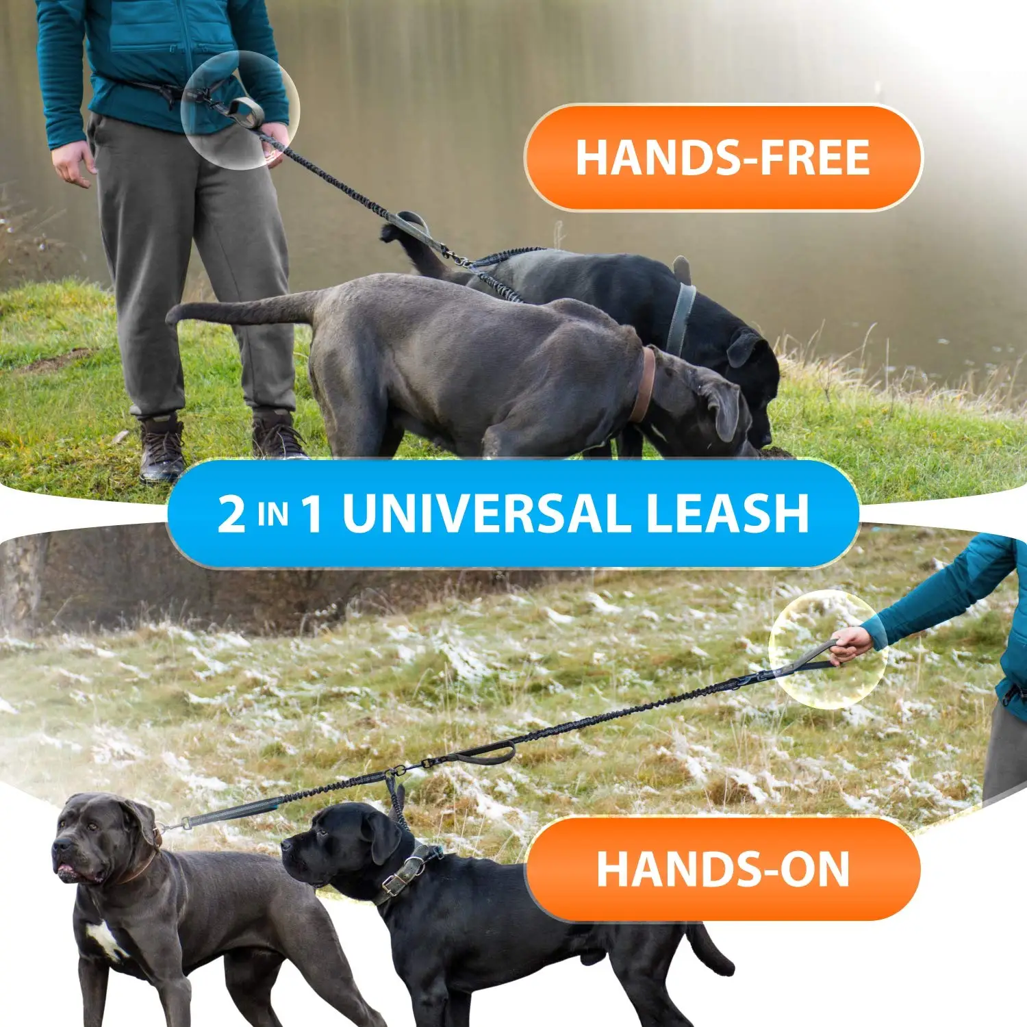 Reflective Stitches Hands Free Double Dual Dog Leash For Medium And ...