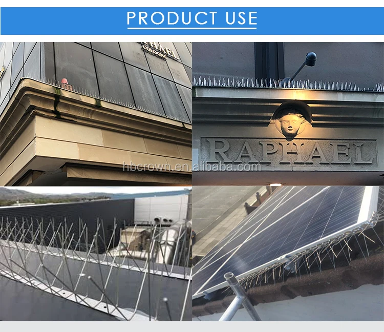 Pigeon Defense Guard - Stainless Steel Spikes for Birds