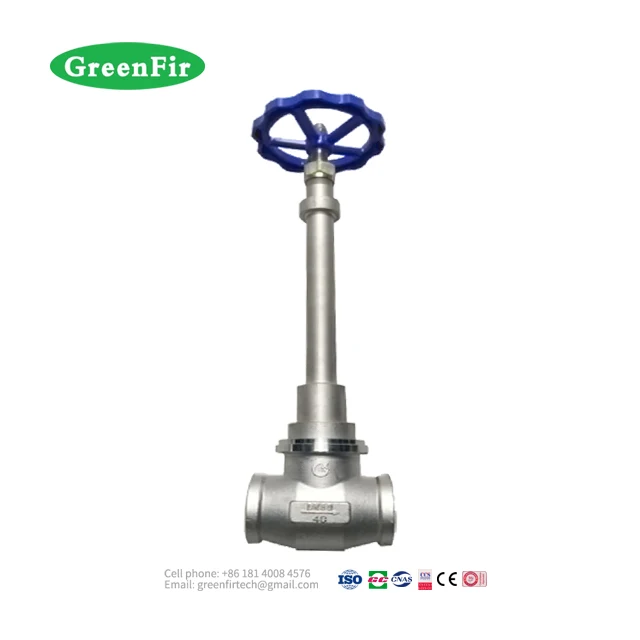 Stainless Steel Cryogenic Globe Valve Extended Stem With Butt Weld Ends ...