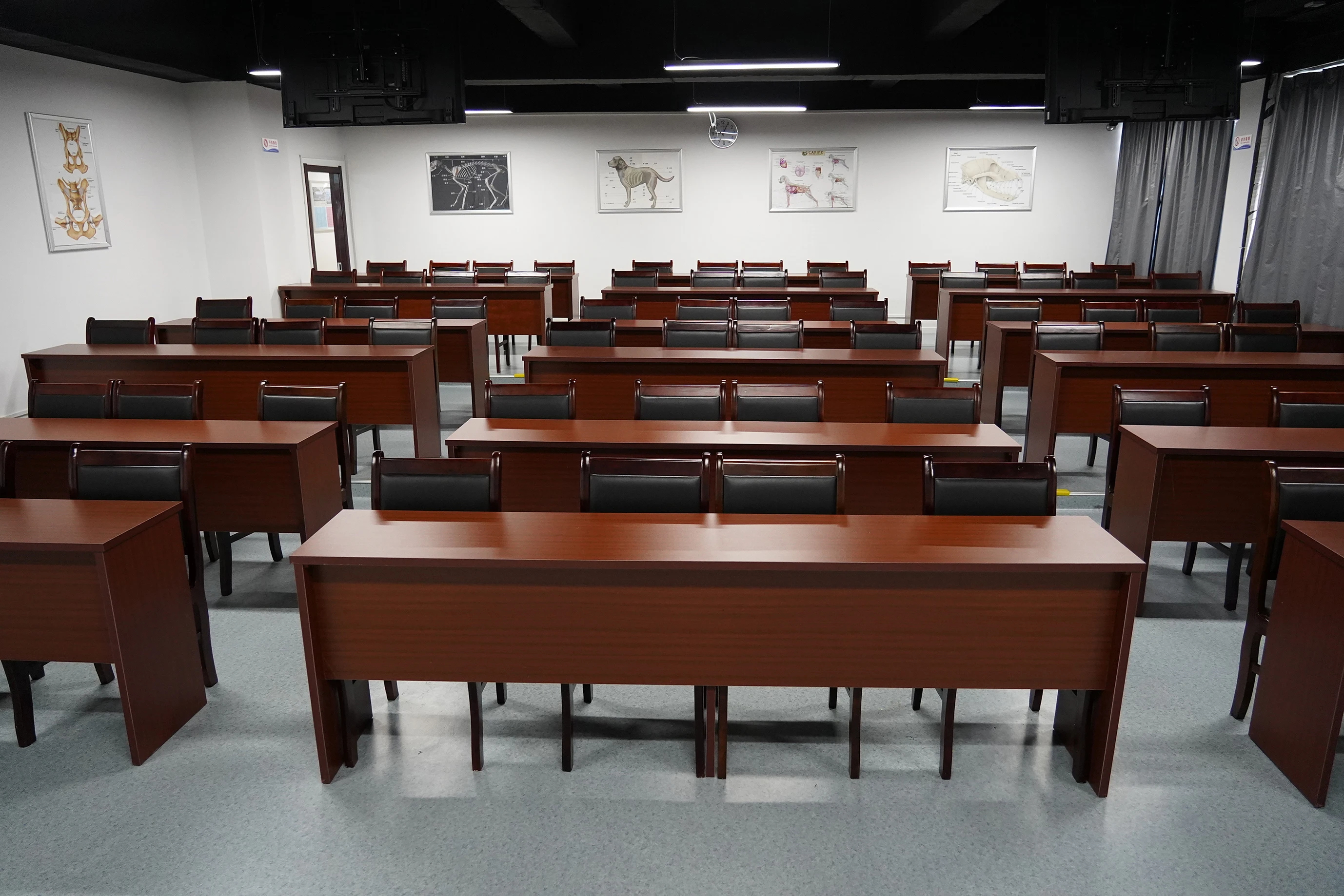 Veterinary Use Tibial Plateau Leveling Osteotomy Tplo Reduction Forceps ...