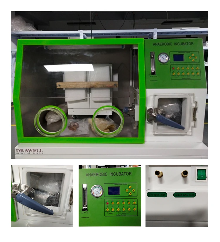 Laboratory Anaerobic Chamber Workstation for Bacteria Culture ...