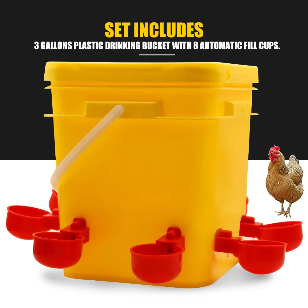 10L Plastic Automatic Chicken Drinkers - Efficient Watering
