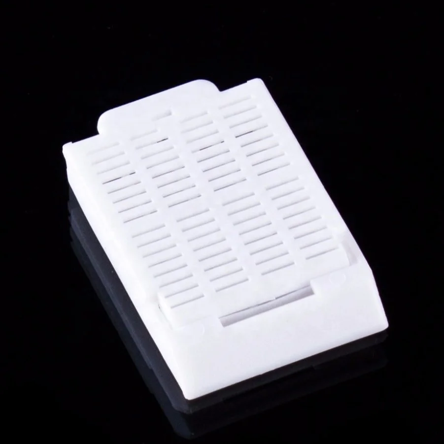 Laboratory Disposable Consumable Histology Biopsy Plastic Tissue ...