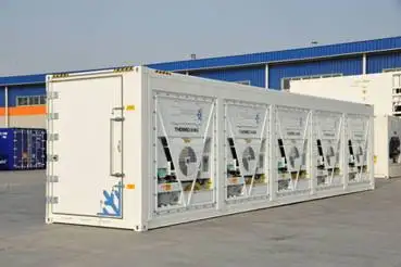 20ft/40ft Blast Chilling Quick Frozen Reefer Container - Buy Blast ...