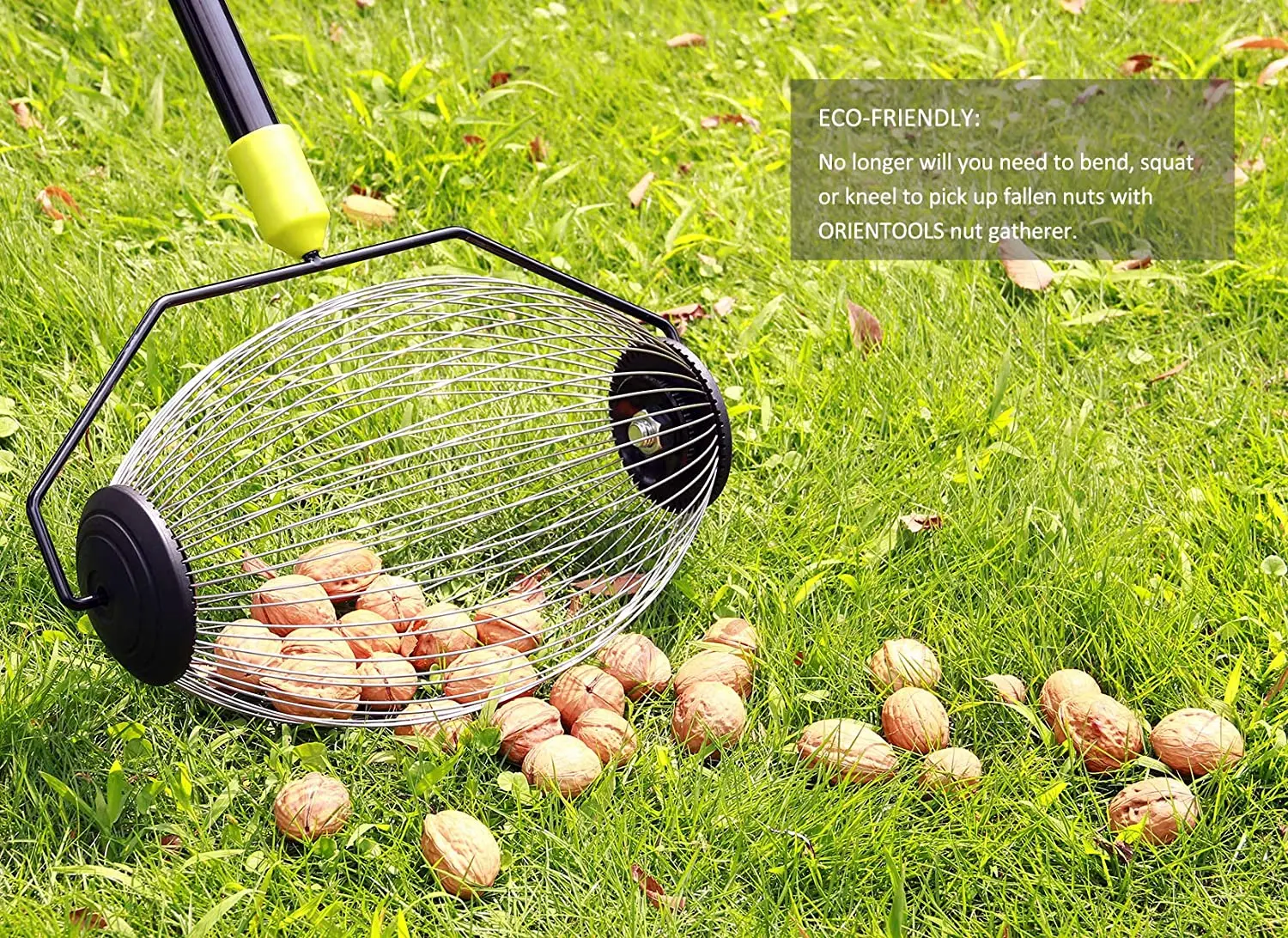 Efficient Nut Collection with HUAZHIJIE Rolling Nut Picker