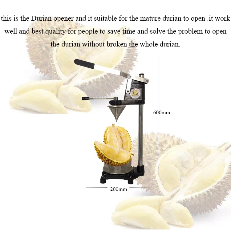 Durian Opener at Stingless Bee - Efficient Peeling Solutions