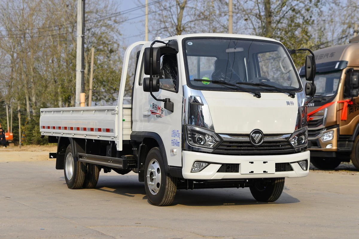 Foton Mini Cargo Truck Diesel Single Cab Light Truck 3 Ton Light Cargo ...