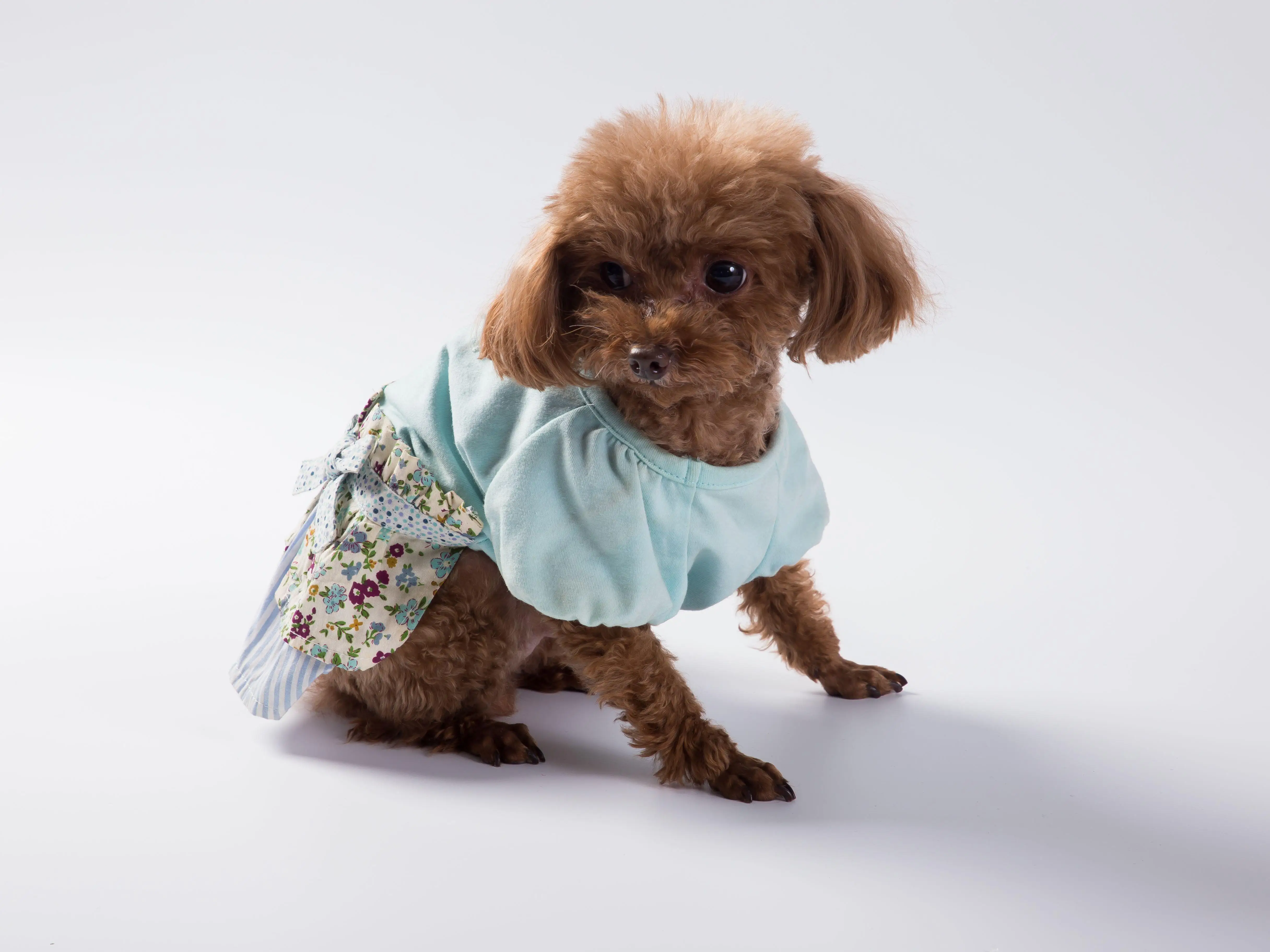 Spring Summer Pet Clothes Flower Pet Clothing Luxury Pet Dog Dress Cute ...