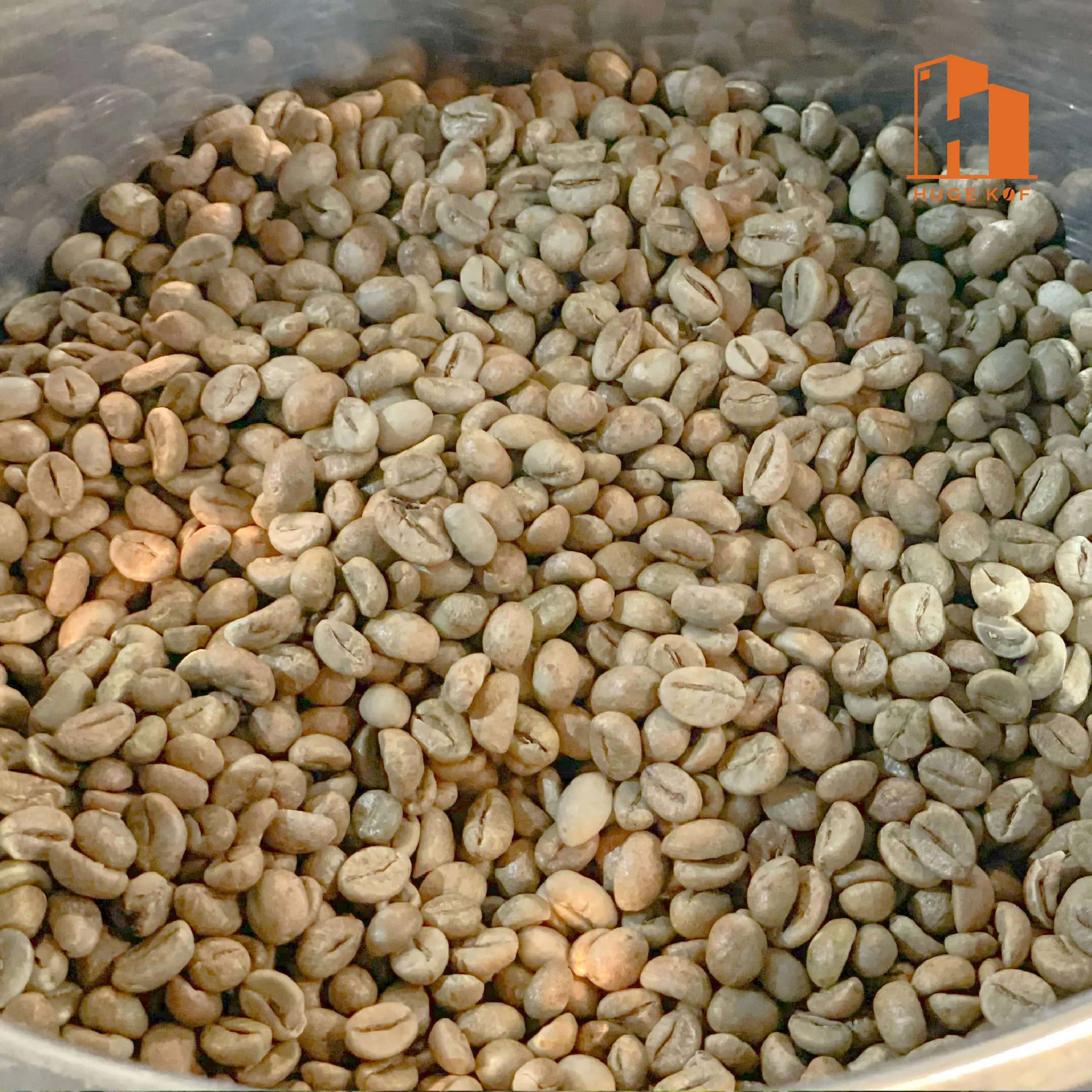 Commercial Green Coffee Beans FAQ Unroasted Robusta for Blending ...