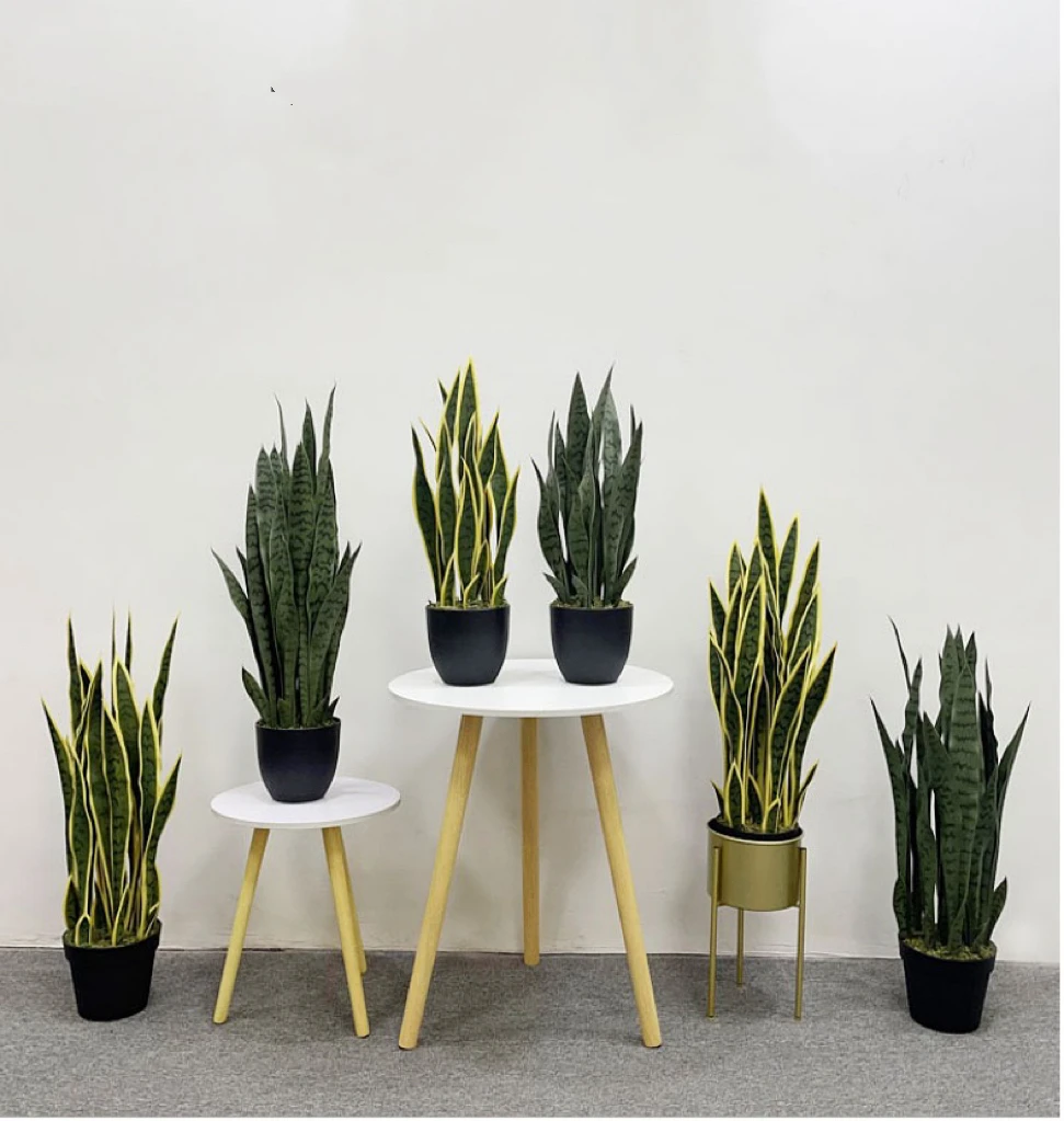 Artificial Potted Green Plant Tiger Pilan Crown Orchid Gladiolus Agave ...