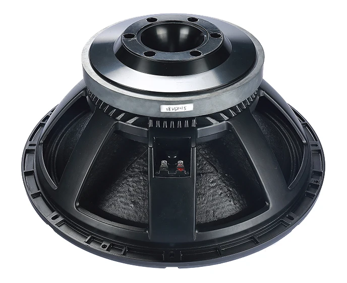 18 Inch Big Bass Speaker - Professional Audio Performance